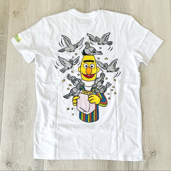 Sesame Street Bert Pigeon